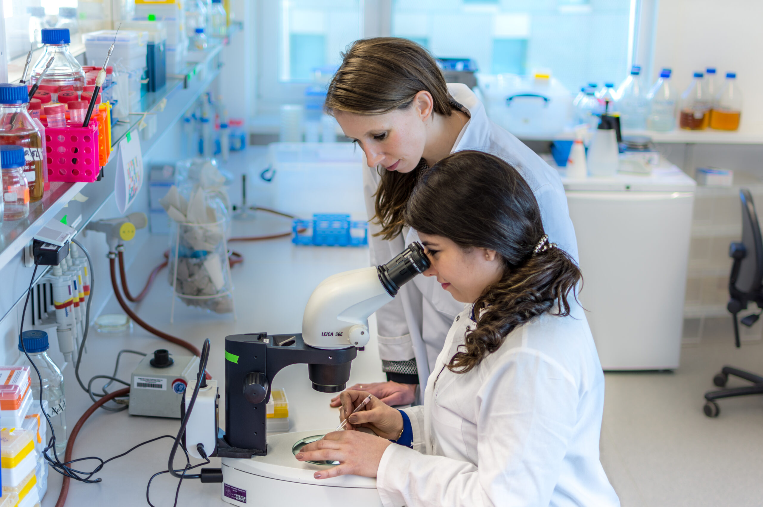 Intestinal microbiota defend the host against pathogens | CRC 1182