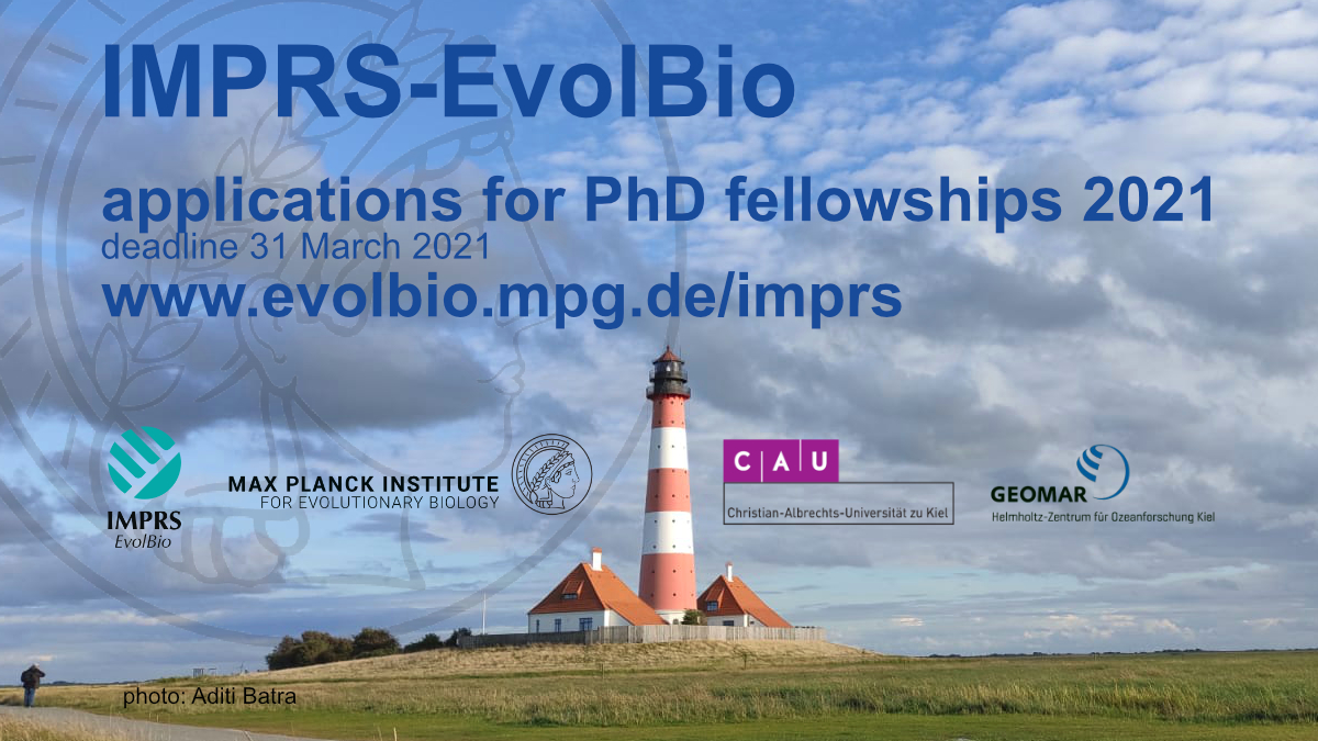 IMPRS EvolBio - Applications for PhD fellowships 2021 | CRC 1182