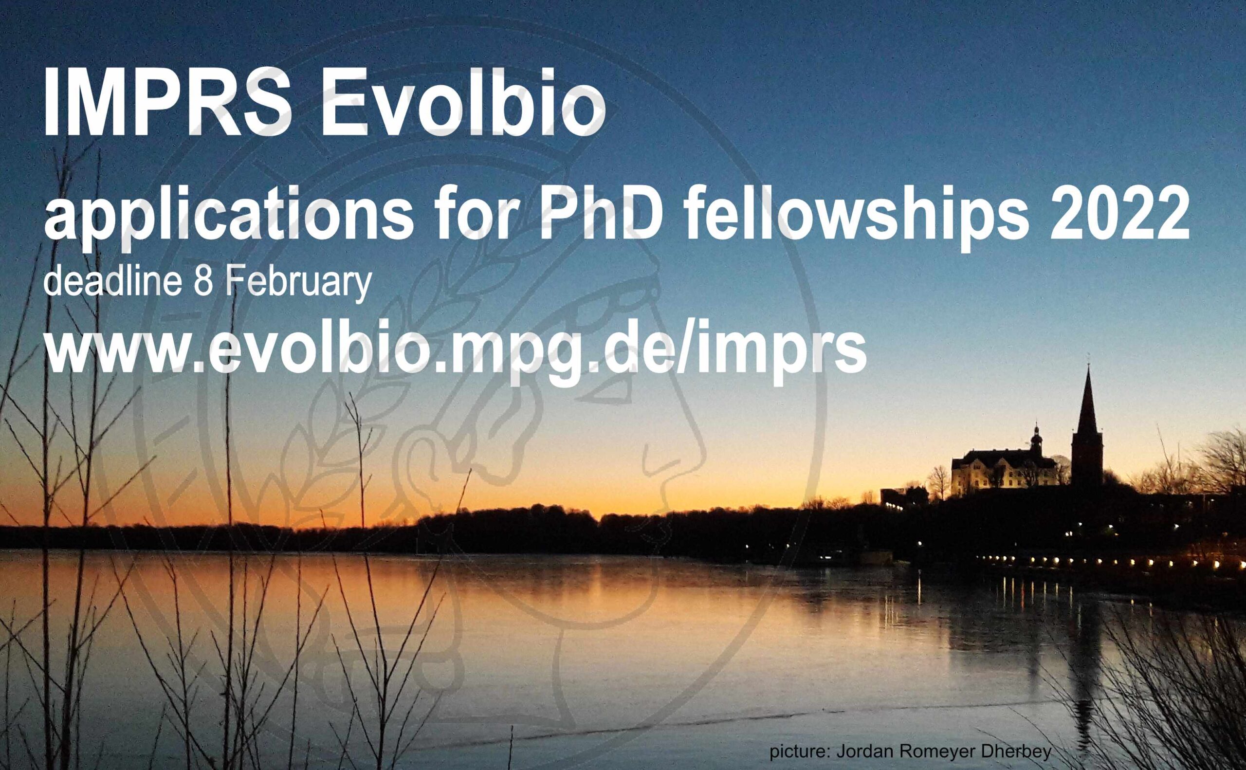 IMPRS PhD-Call 2022 | CRC 1182