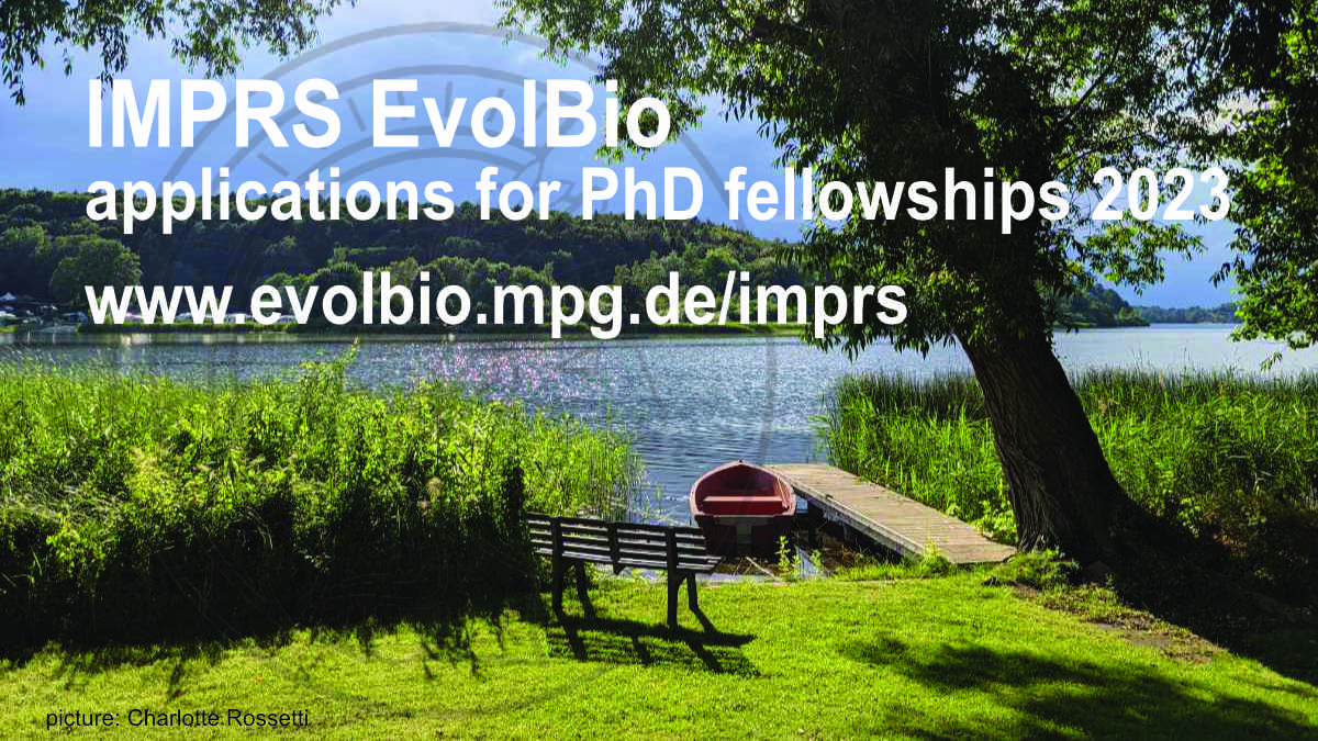 Call: IMPRS EvolBio 2023 PhD Fellowships | CRC 1182