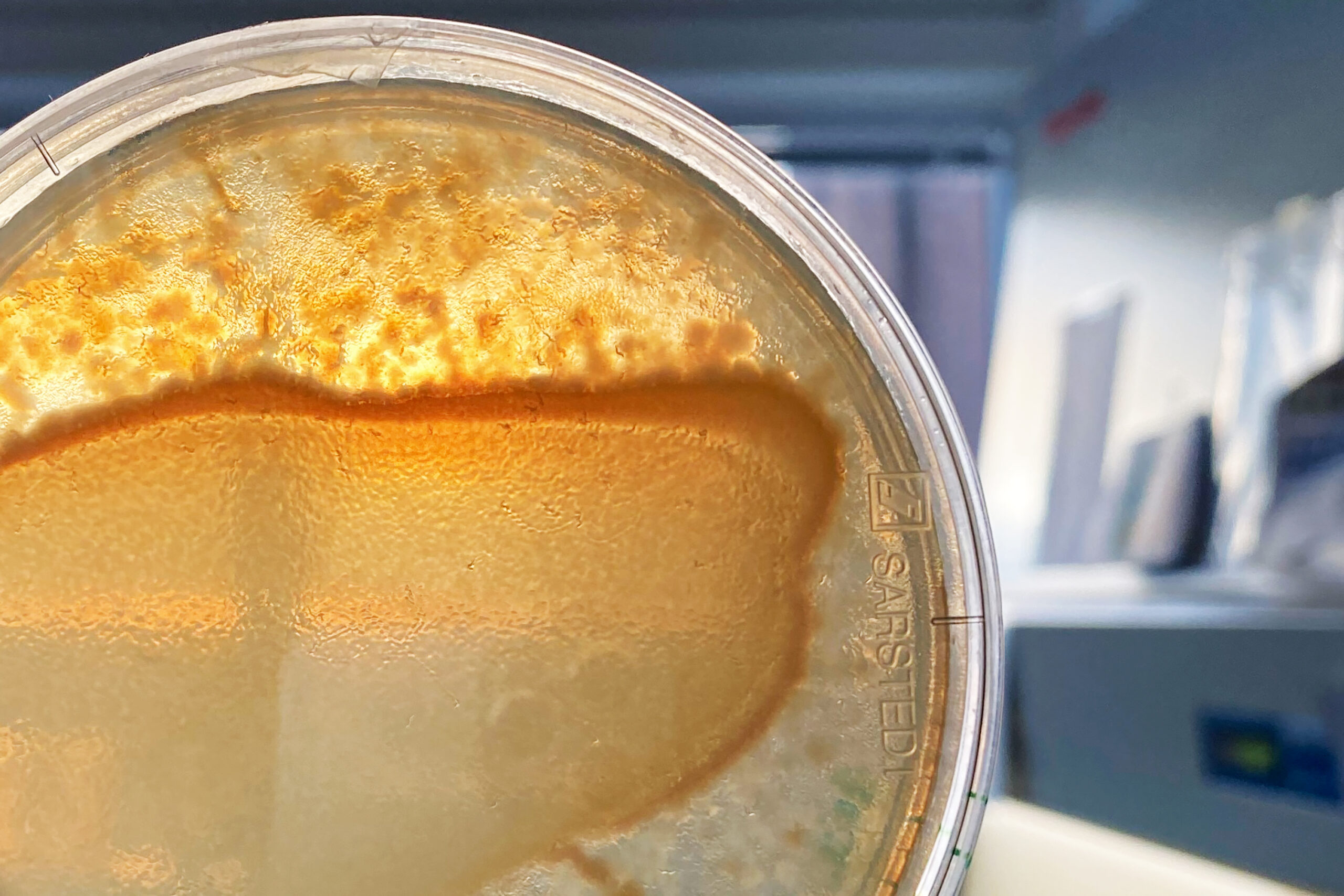 The microbiome changes dynamically and favours important host-relevant ...